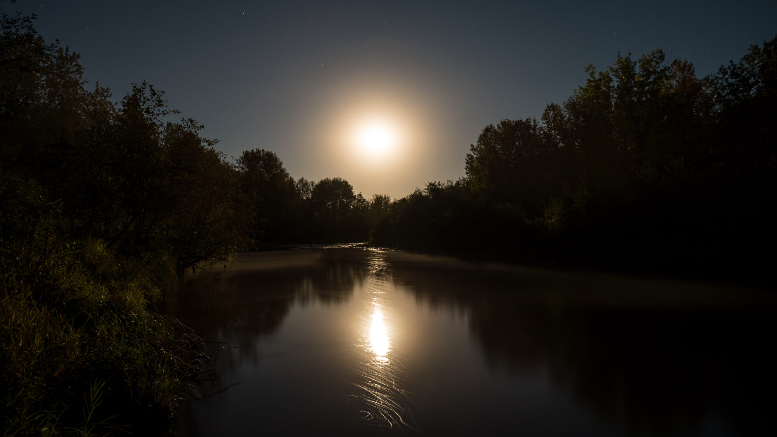 Site is undergoing maintenance